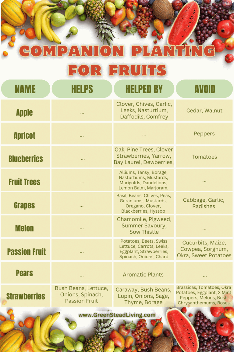 What is Companion Planting - A Beginners Guide