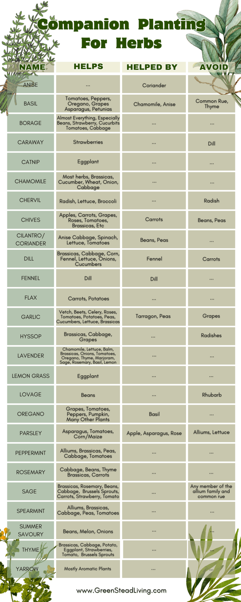 What is Companion Planting - A Beginners Guide