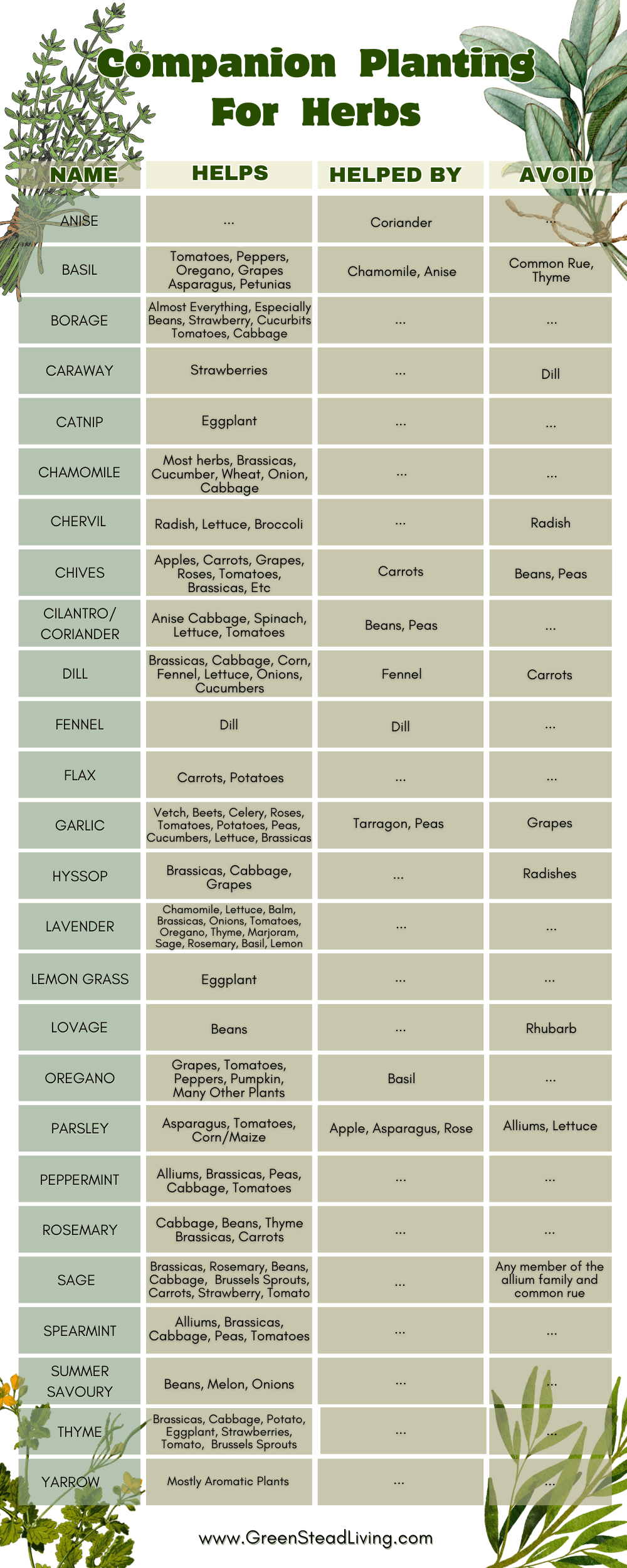 What is Companion Planting - A Beginners Guide