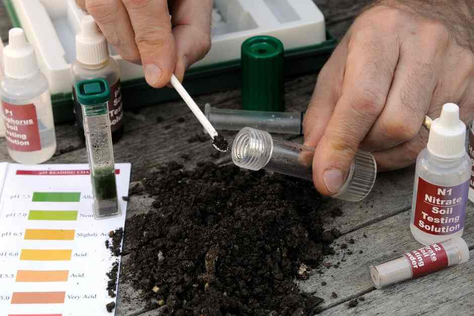How To Test Soil pH - The 3 Main Ways